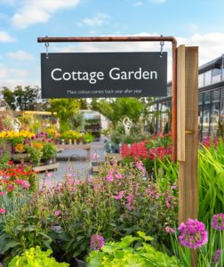 Gardens - Beckworth Emporium - Beautiful Seasonal Flowers